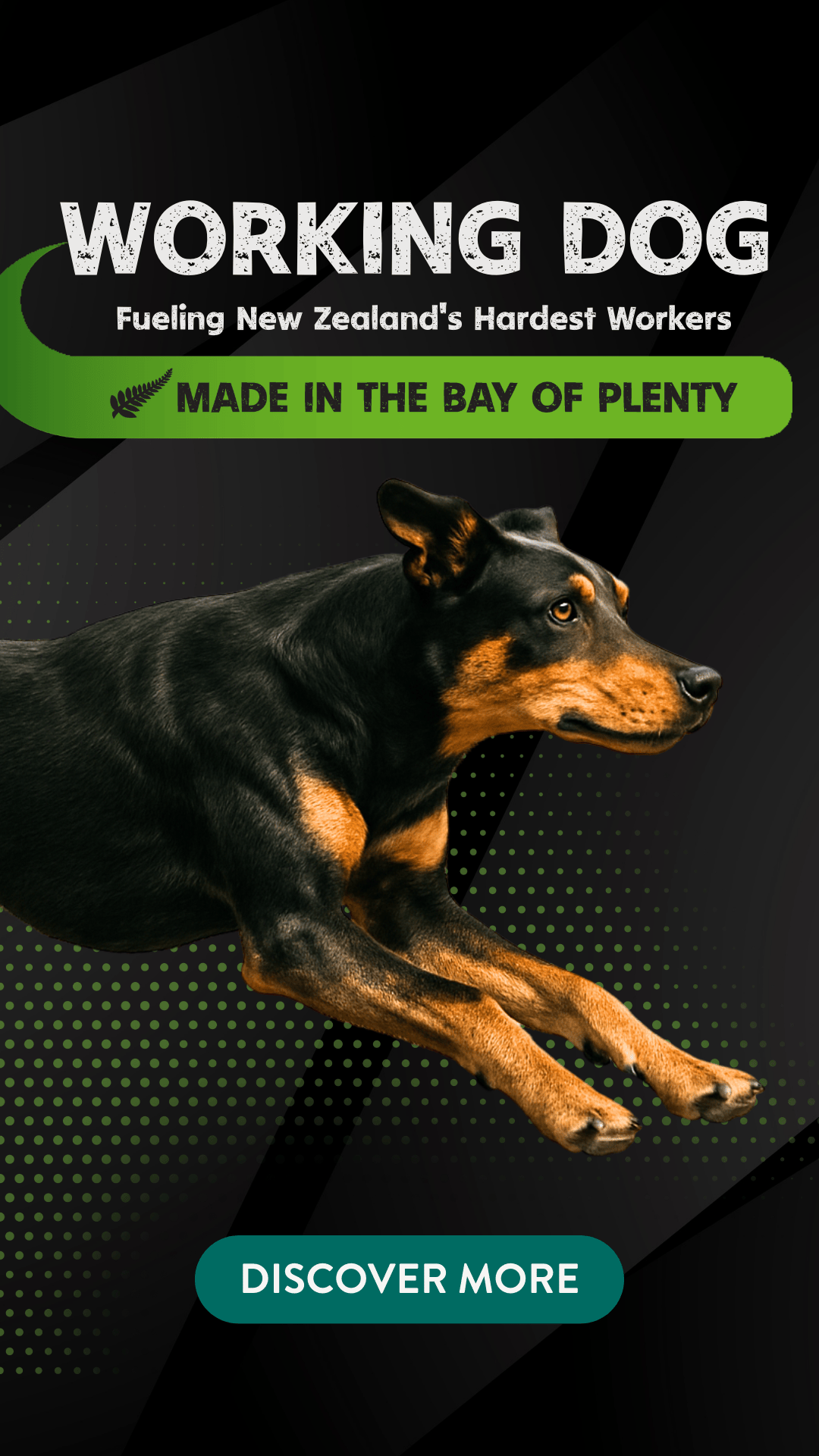Addiction Pet Foods New Zealand | We Go Further For Your Pets ...