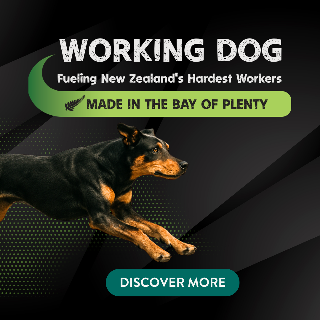 Addiction Pet Foods New Zealand | We Go Further For Your Pets ...